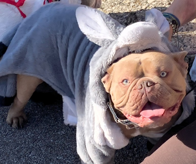 Talaraska | Digestible source material to help tabletop RPG GMs run their games.